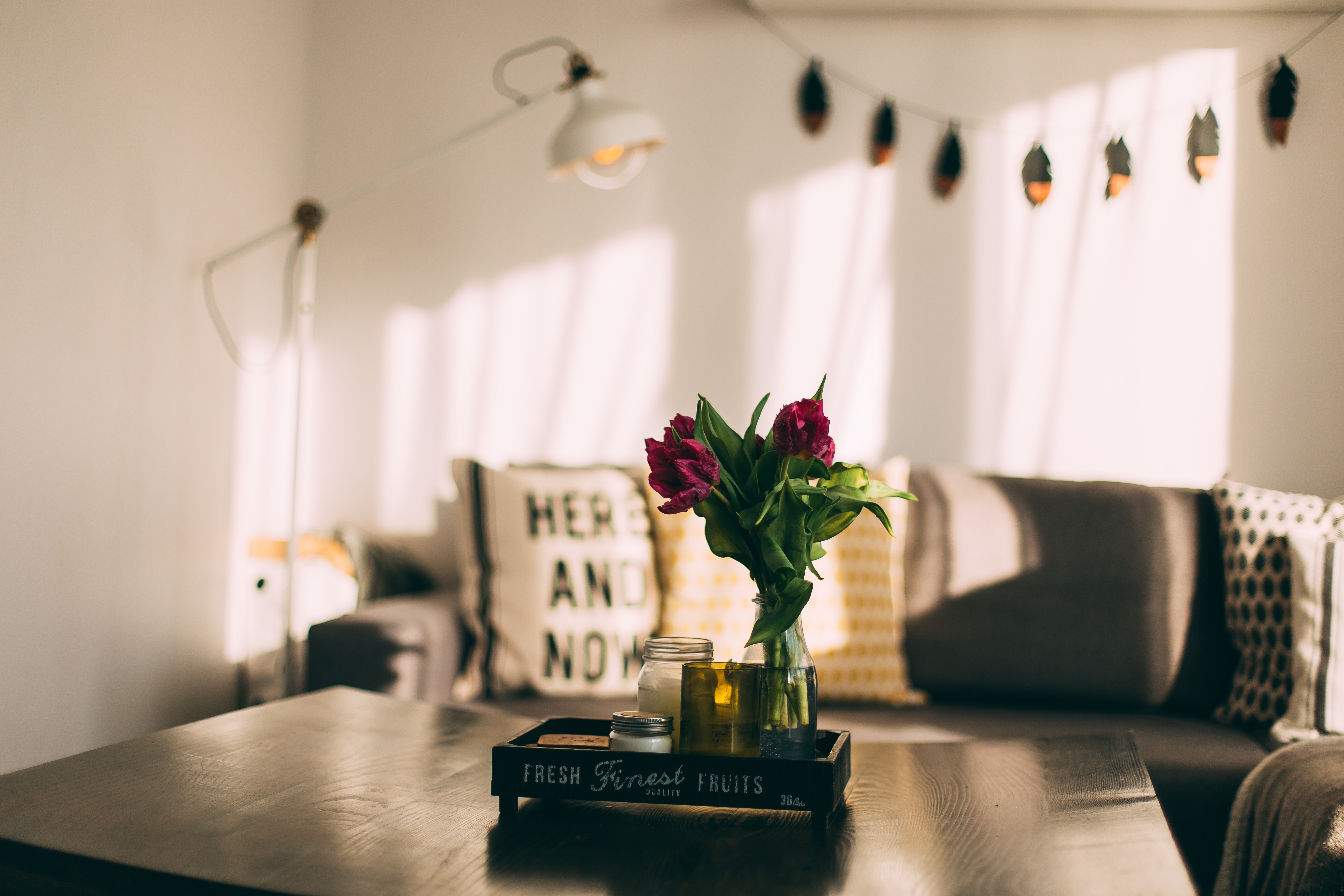 daiga-ellaby-233067 unsplash - DVAMag